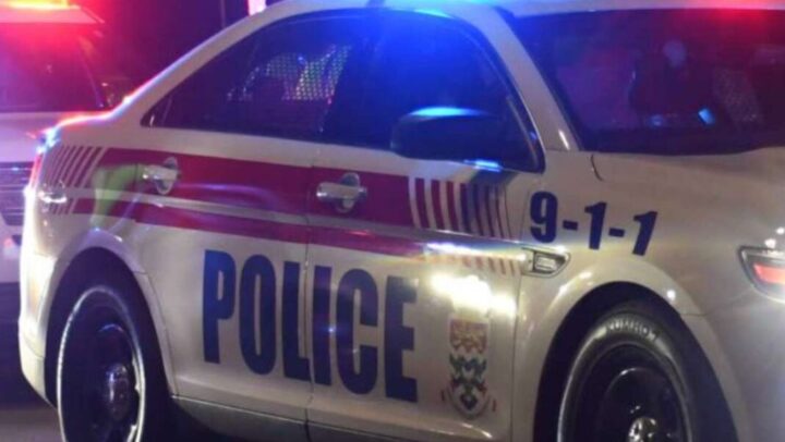 Winter Guardian coming to close - Compass TV