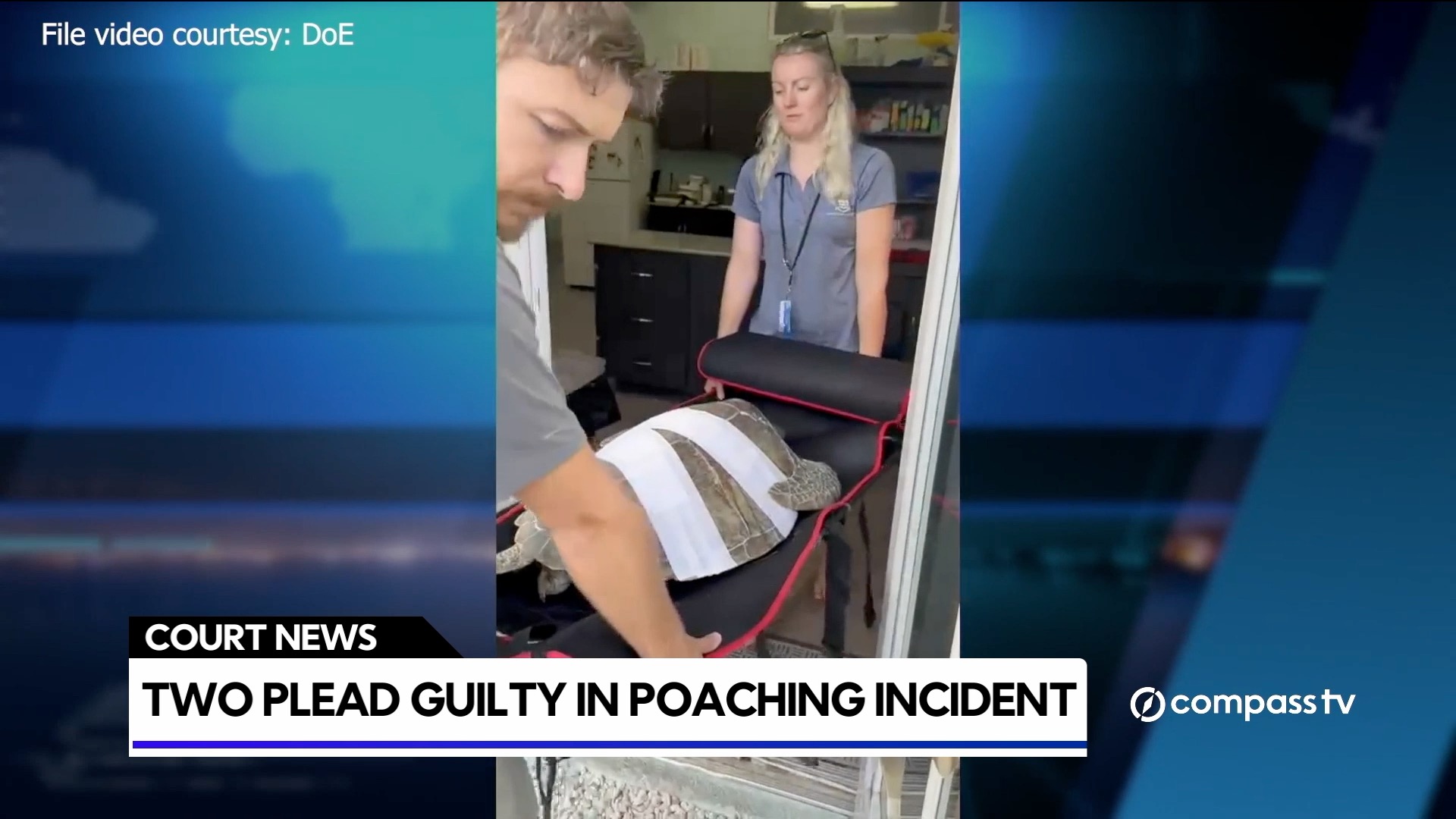 Two plead guilty in turtle poaching incident - Compass TV