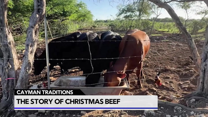 First look revealed for Caymanian filmmaker Frank E. Flowers’ new film ...