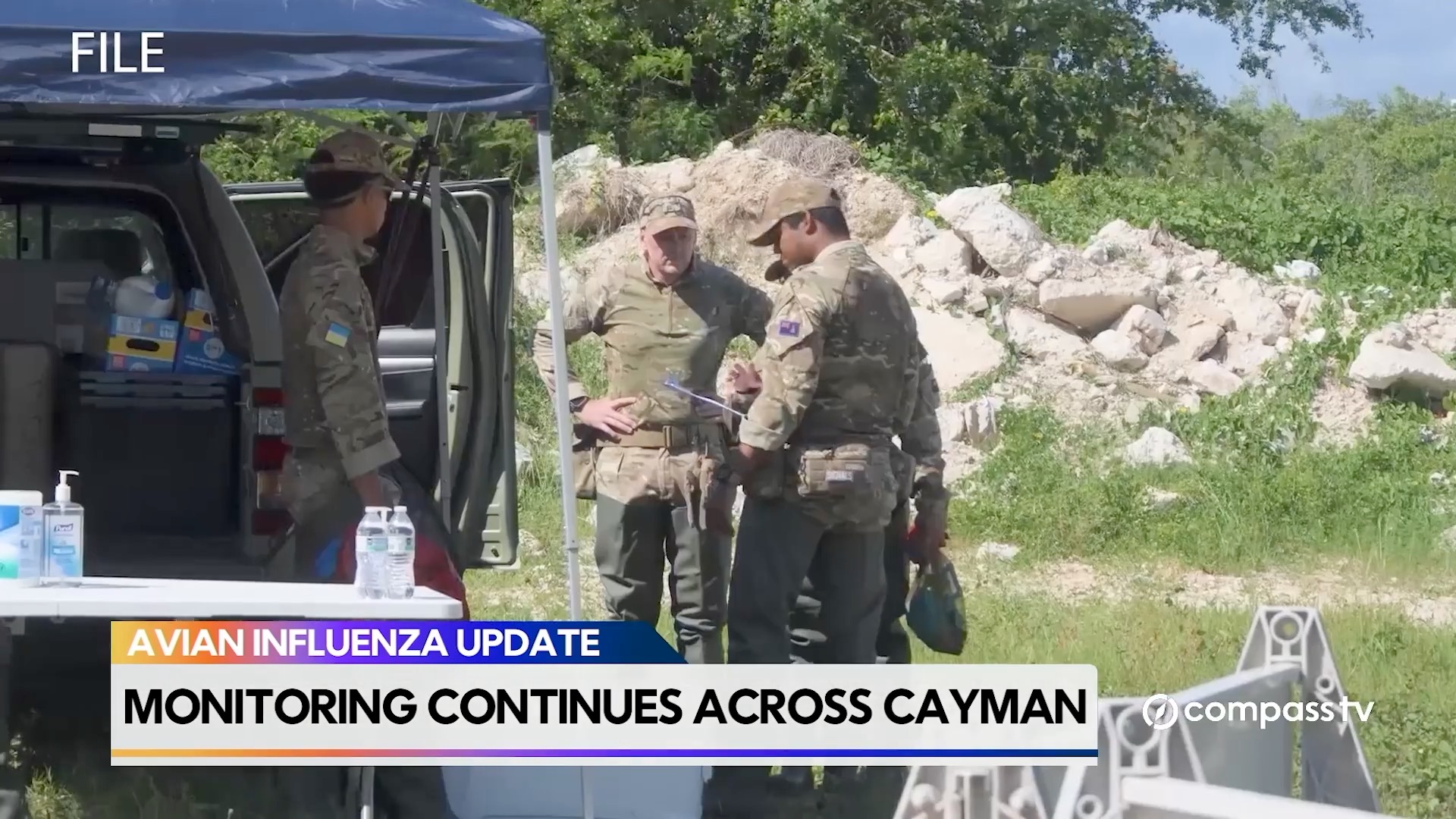 Avian Influenza - The latest update - Compass TV