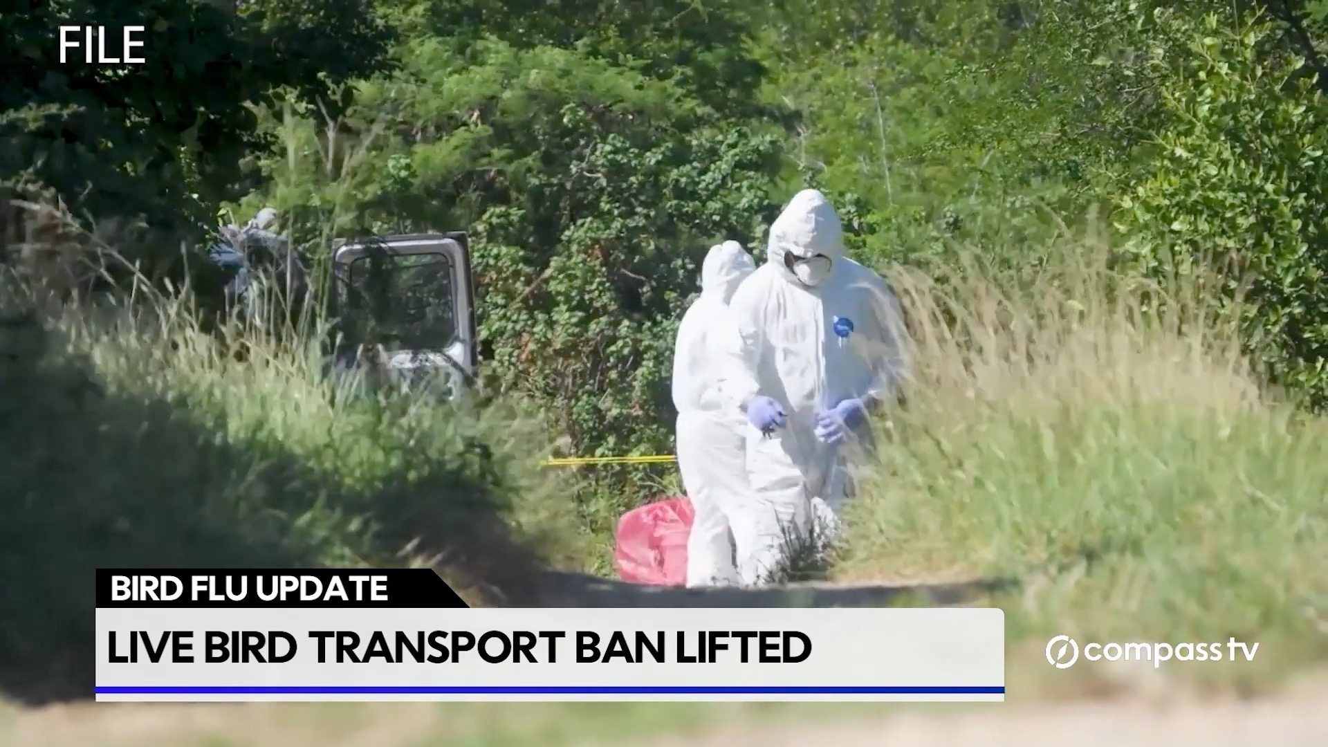 Ban on movement of live birds lifted - Compass TV