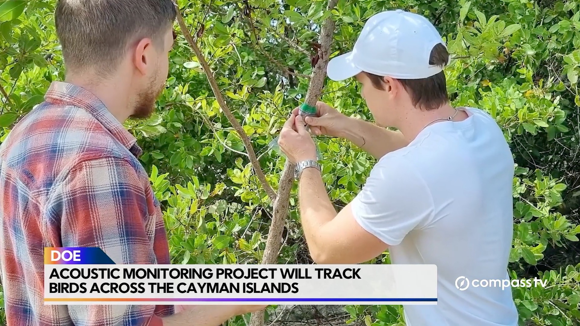 DOE Avian Acoustic Monitoring Project - Compass TV